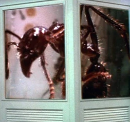 Giant Ant Queen | Monster and Slashers Wiki | Fandom