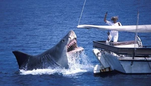 Vengeance the Shark | Monster and Slashers Wiki | Fandom