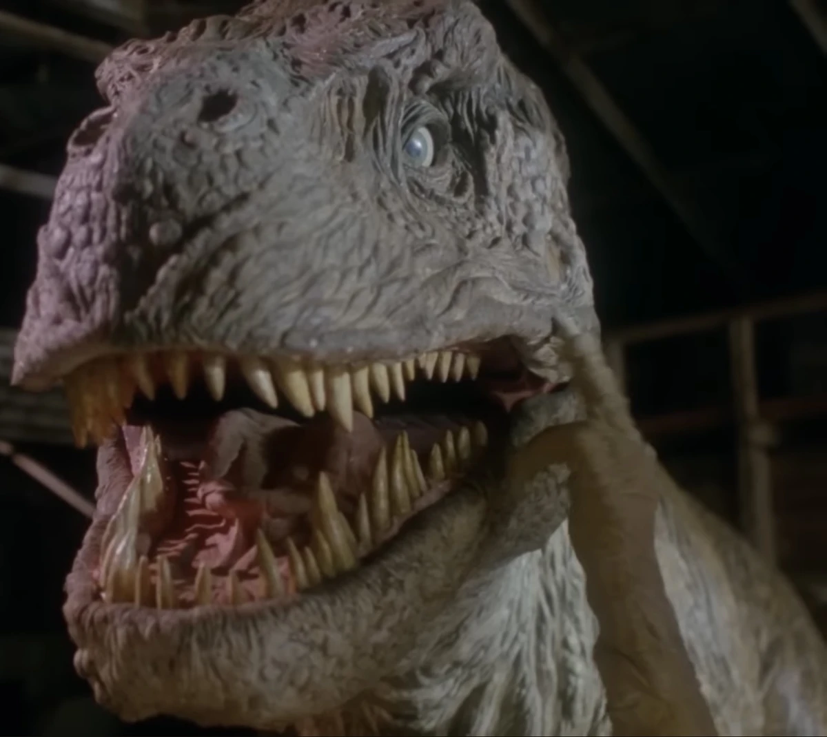 Category:Dinosaurs | Monster and Slashers Wiki | Fandom
