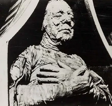 Werewolf Mummy | Monster and Slashers Wiki | Fandom