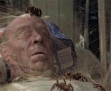 Hybrid Arachnids | Monster and Slashers Wiki | Fandom