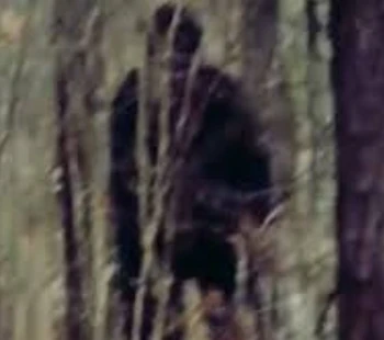 Fouke Monster | Monster and Slashers Wiki | Fandom