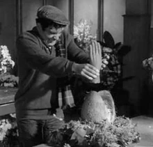 Audrey Jr. | Monster and Slashers Wiki | Fandom