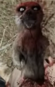 Zoombies | Monster and Slashers Wiki | Fandom