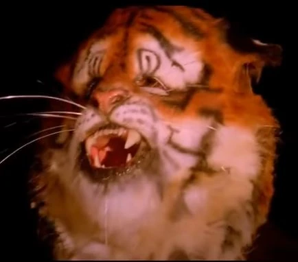 Vikram "Vicky" Chauhan | Monster and Slashers Wiki | Fandom