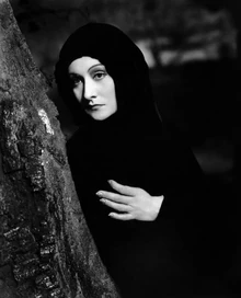 Countess Marya Zaleska | Monster and Slashers Wiki | Fandom