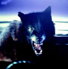 Wolfen | Monster and Slashers Wiki | Fandom