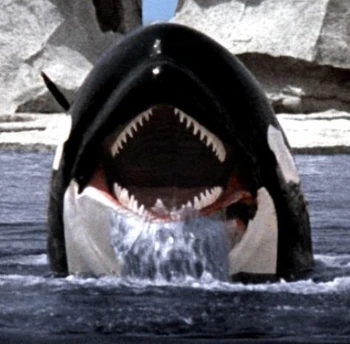 Orca | Monster and Slashers Wiki | Fandom