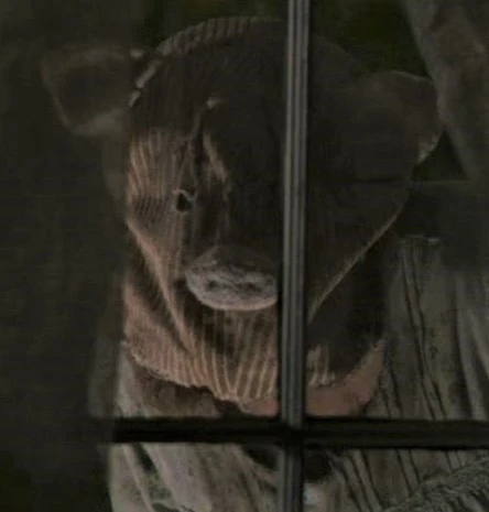 Pig Lady | Monster and Slashers Wiki | Fandom