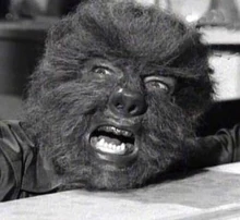 Werewolf Mummy | Monster and Slashers Wiki | Fandom
