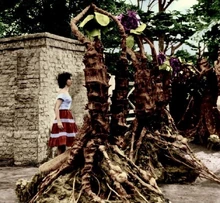 Triffidus Celestus | Monster and Slashers Wiki | Fandom