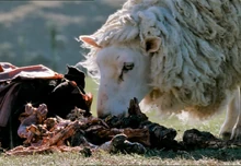 Black Sheep | Monster and Slashers Wiki | Fandom