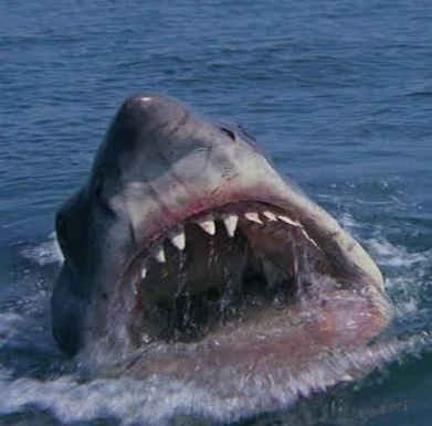 Bruce the Shark | Monster and Slashers Wiki | Fandom