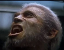 Wolfman (Monster Squad) | Monster and Slashers Wiki | Fandom