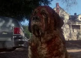 Cujo | Monster and Slashers Wiki | Fandom