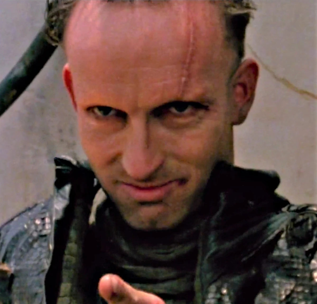 Spider | Monster and Slashers Wiki | Fandom