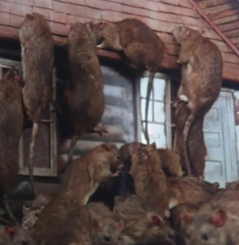 Giant Vermin | Monster and Slashers Wiki | Fandom