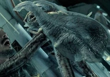 Calvin | Monster and Slashers Wiki | Fandom