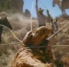 Mutant Sheep | Monster and Slashers Wiki | Fandom