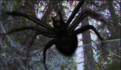 Ice Spider Movie