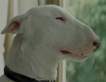 Baxter | Monster and Slashers Wiki | Fandom