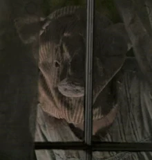 Pig Lady | Monster and Slashers Wiki | Fandom