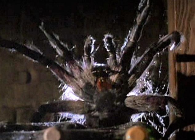 General Spider | Monster and Slashers Wiki | Fandom
