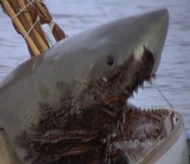 Brucette the Shark | Monster and Slashers Wiki | Fandom