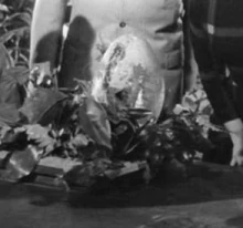 Audrey Jr. | Monster and Slashers Wiki | Fandom