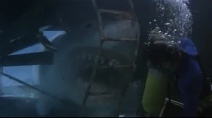 Vengeance the Shark | Monster and Slashers Wiki | Fandom
