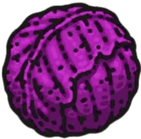 Red Cabbage | Monster Chef Wiki | Fandom