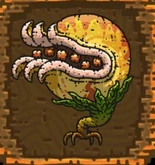 Pomegnasher | Monster Chef Wiki | Fandom