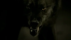 Werewolf | Monster High Story Wiki | Fandom