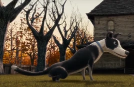 Kevin the Dog | Monster House Wiki | Fandom