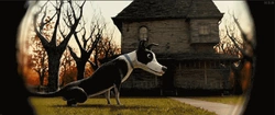 Kevin the Dog | Monster House Wiki | Fandom