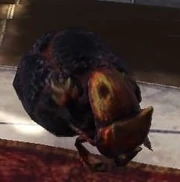 Endemic Life | Monster Hunter Horizon Wiki | Fandom