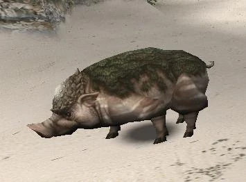 Mosswine/MA | Wikia Monster Hunter Fanon | Fandom