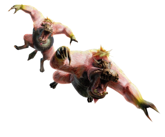 Conga | Wikia Monster Hunter Fanon | Fandom