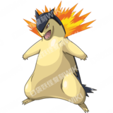 No.157 Typhlosion | Monster Wiki | Fandom
