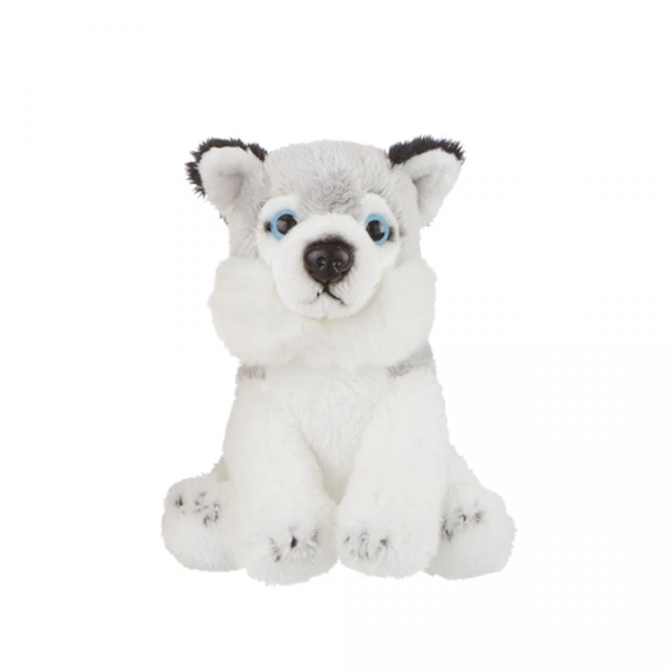 Dwight | Monster Movie Wiki | Fandom