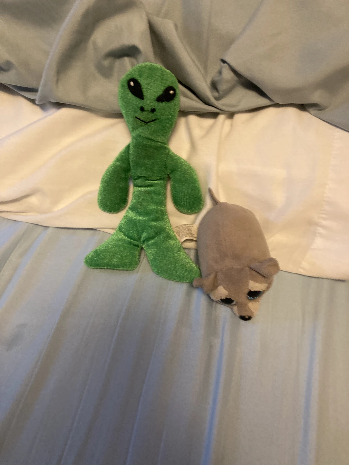 The Brother | Monster Movie Wiki | Fandom