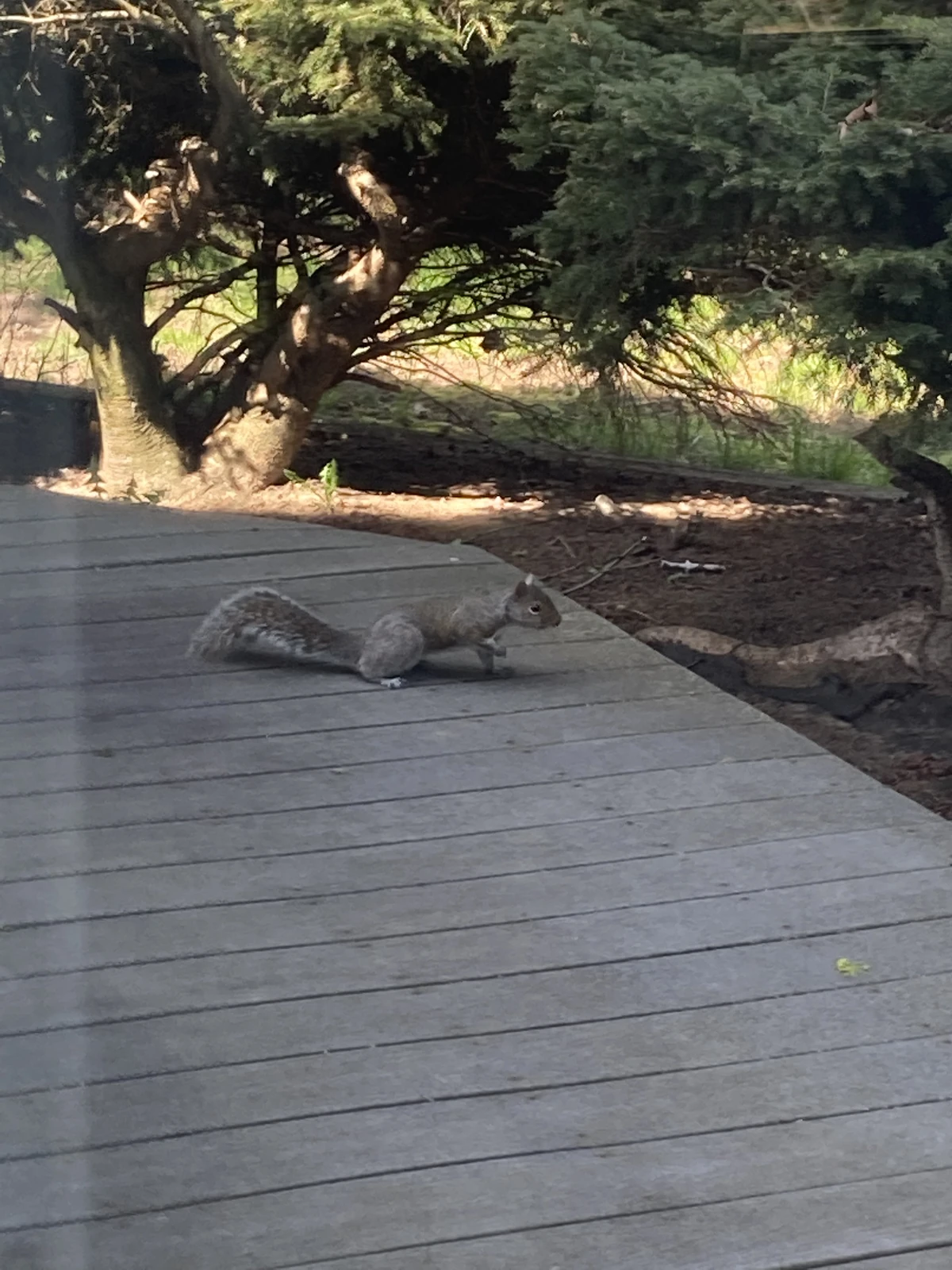 Jayden | Monster Movie Wiki | Fandom