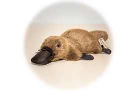 Pool | Monster Movie Wiki | Fandom