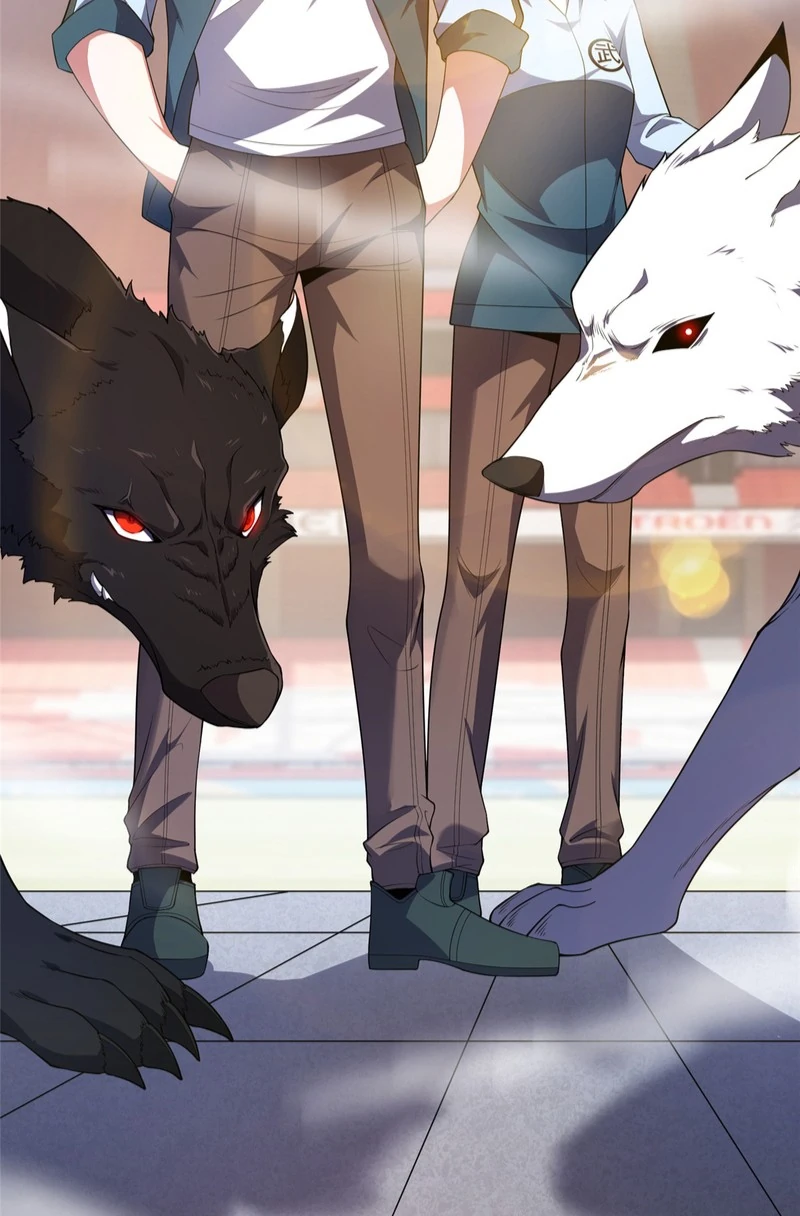 Light Wolf/Dark Wolf | Monster Pet Evolution Wiki | Fandom