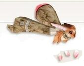 Kikimo | Monster Rancher Wiki | Fandom