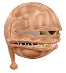 Bronze Suezo/Gallery | Monster Rancher Wiki | Fandom