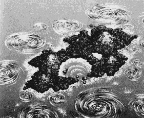 Silha | Monster Wiki | Fandom