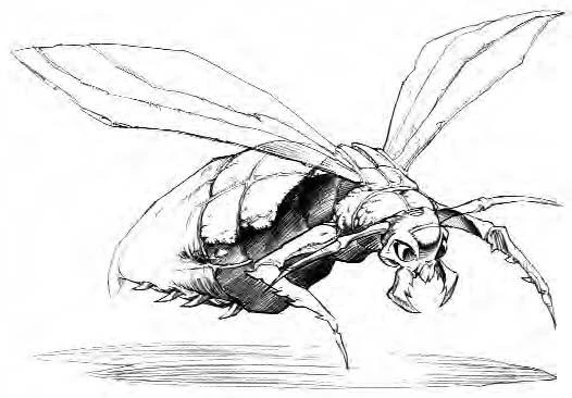 Firefly | Monster Wiki | Fandom