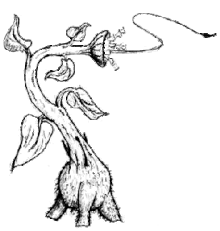 Triffid | Monster Wiki | Fandom