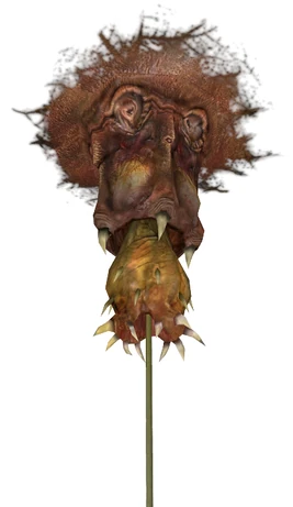 Barnacle | Monster Wiki | Fandom